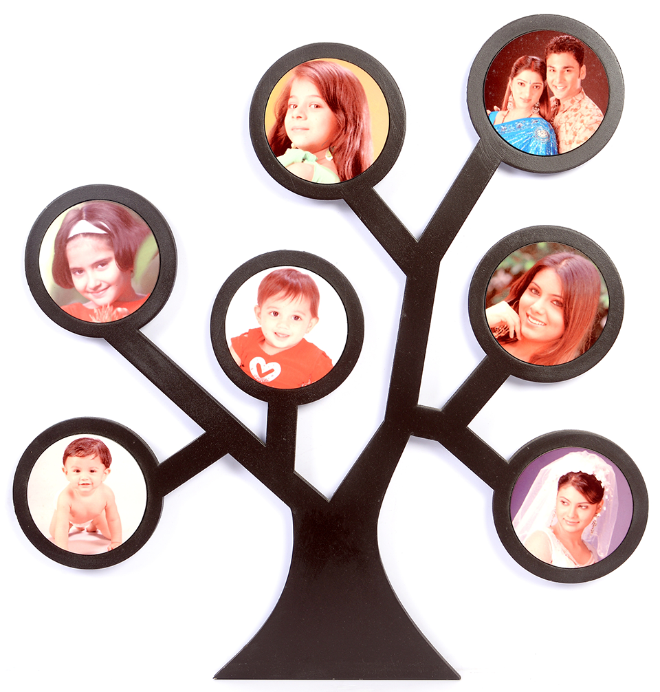 Photographic Family Tree Family Tree Diagram Vector Art, Icons, And